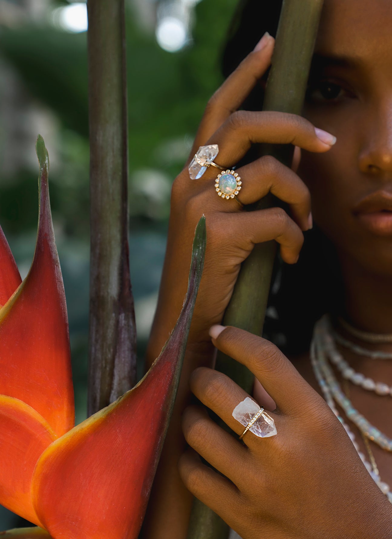 About JIA JIA – JIAJIA